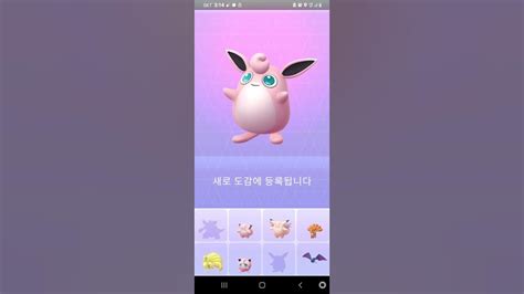 포켓고 푸린 진화 푸크린 Youtube