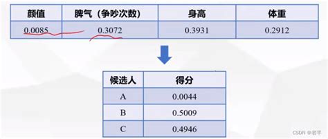 熵权法（内含python完整代码）python熵权法 Csdn博客