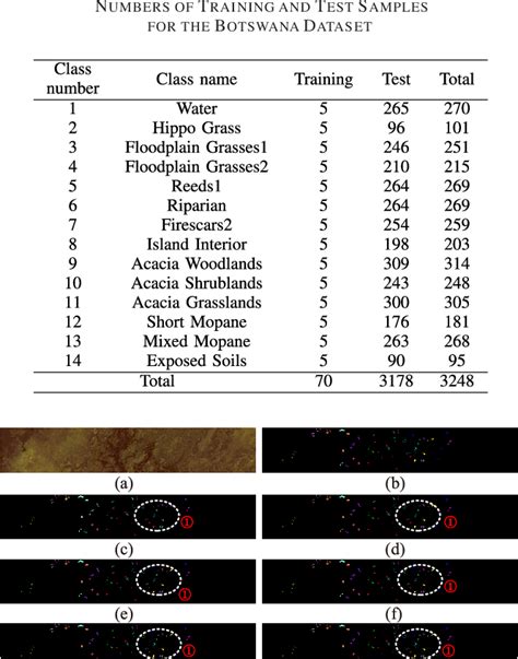 Figure 1 From A Cross Level Spectralspatial Joint Encode Learning Framework For Imbalanced