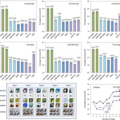 Performance Evaluation For Visual Classification Tasks We Consider