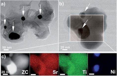 Microstructure And Morphology Of The Formed Nanostructured Catalyst