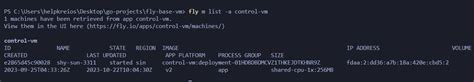 Error Creating More Machines Using Flyctl Scale Count