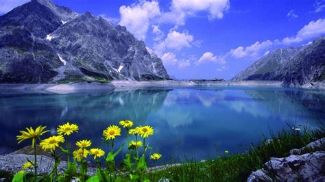 Peace Hd Computer Wallpapers Wallpaper Cave