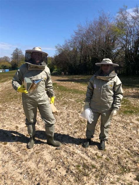 Starting Out With School Beekeeping Mrs Burneys Bee Club Cic