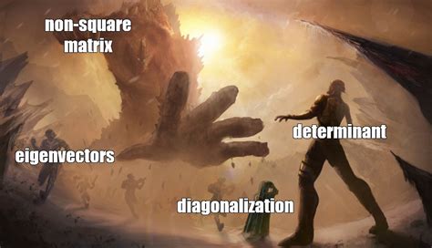 Сomics Meme Non Square Matrix Determinant Eigenvectors