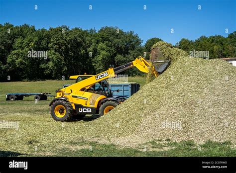 Laguepie France 25082020 Preparing Sorghum Silage For Cattle Feeding
