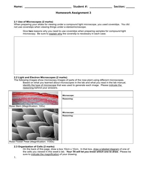 Microscopy Homework Assignment