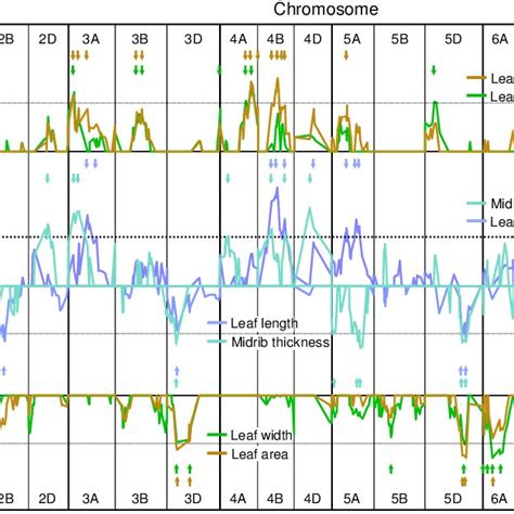 Single Marker Analysis Sma Of Additive Effects Sma Expressed As