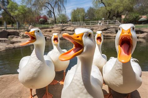 Ducks Quacking Loudly In A Group Premium Ai Generated Image