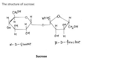 Sucrose Ring Structure