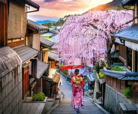 إقبال ملحوظ من الكويتيين على السفر إلى اليابان جريدة أكاديميا