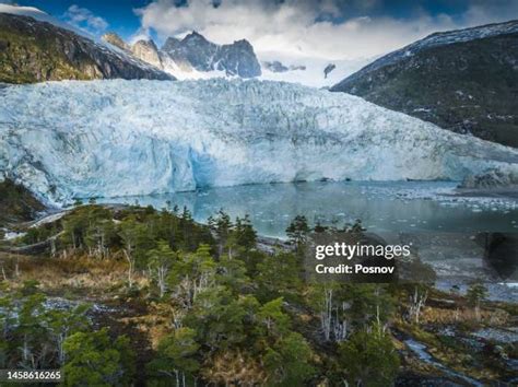 Cape Horn Biosphere Reserve Photos And Premium High Res Pictures