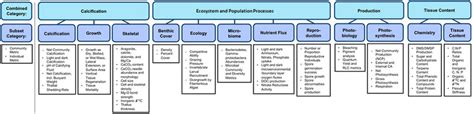 Flow Chart Of Response Categorization Measured Responses That Were Download Scientific Diagram