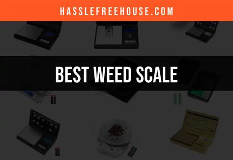 17 Best Weed Scales For Precise Measurements