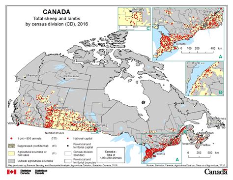 Total Sheep And Lambs By Census Division Cd 2016
