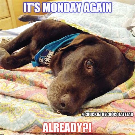 Really Its Monday Again