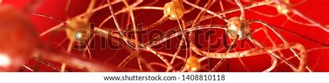 Nerves Nervous Node Nervous System Neural Stock Illustration 1408810118
