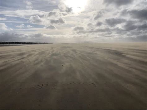 Setd1b Information And Support Facebook