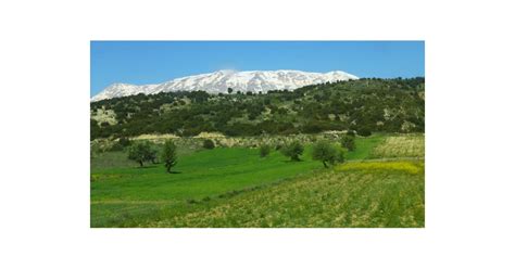 Video Enhancing International Cooperation For Integrated Forest Fire