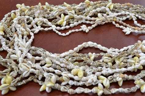 1000 Pcs Assort Tiny Mixed Nassa Cowrie Sea Shell Beads 5085 Ebay