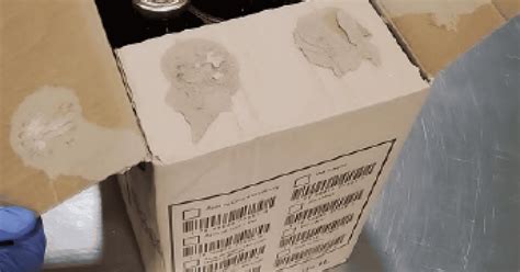 Three Charged In 12 Tonne Liquid Meth Import Plot Mirage News