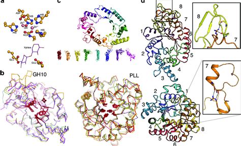 Combinatorial Backbone Assembly And Design Of Enzymes A Active Site Download Scientific