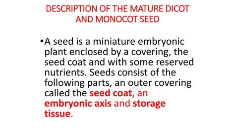 Solution Lecture 3 Structure Of Monocot Dicot Seed Studypool