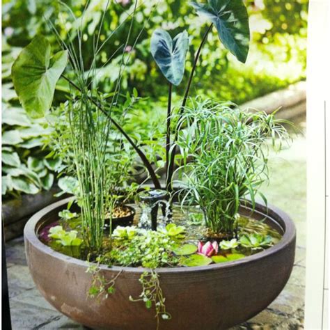 Container Water Garden Ideas Vertical Vegetable Gardens Container