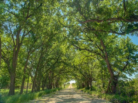High Country Land And Lakes