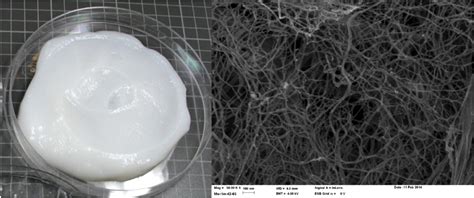Nanocellulose Cellulosefromfinlandfi