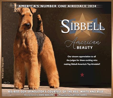 Lowchen Club Of America National Saturday May 25 2024 Canine