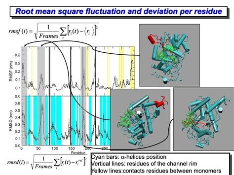 Seminar Series Molecular Dynamics Simulation Of Biomolecules
