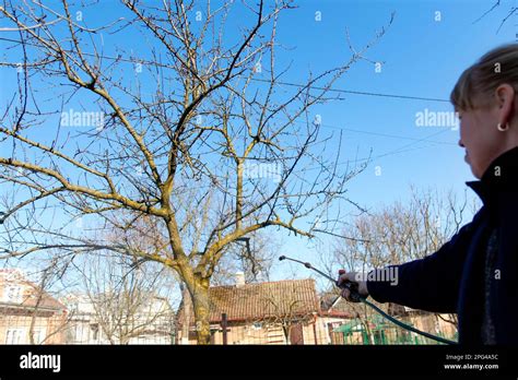 Spray Garden Fumigating Pesti Pest Control Defocus Farmer Woman