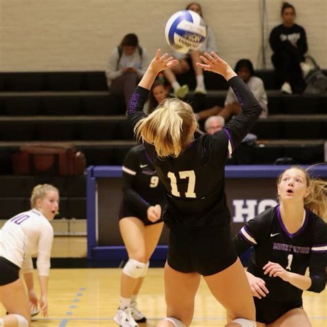 Melissa Hansen Setter Nil Profile Opendorse