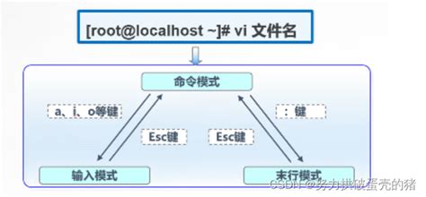 文本编辑器vi命令详解 Csdn博客