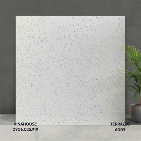 Gạch Lát Nền Terrazzo 6009