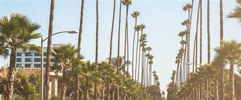 Les 10 Meilleures Choses à Faire à Beverly Hills 2026