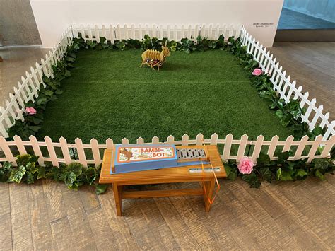 Bambi Bot Es Laura Palavecino