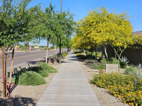 How To Water Trees For The Arizona Summer Els Maintenance And Construction