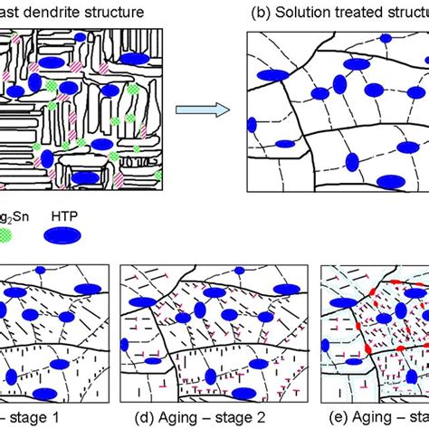 Microstructure Evolution During Casting Schematic A Solution