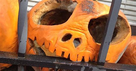 halloween pumpkins are excited for christmas album on imgur