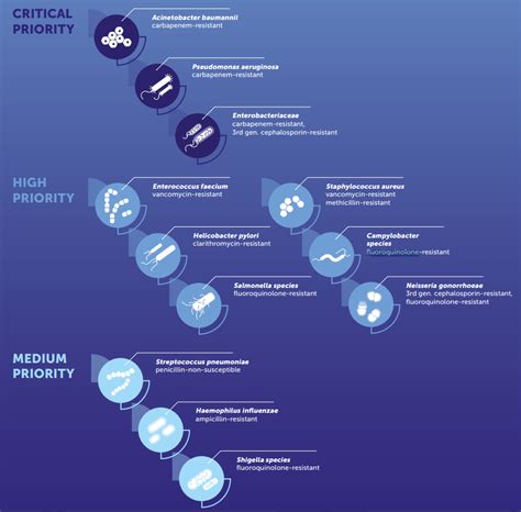 Who List Of Antibiotic Resistant Priority Pathogens With New Updated