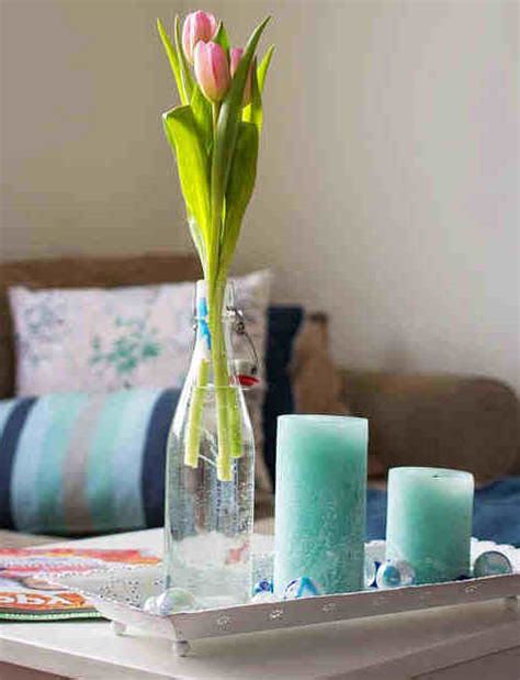 Plano Tx Crazylegs Pest Control