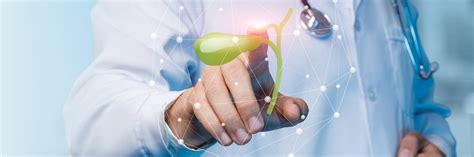 Understanding Digestive Enzyme Supplementation And The Role Of The