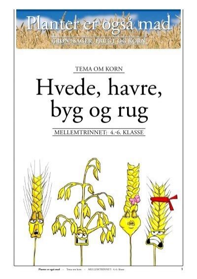 Kornhvede Havre Byg Og Rug Lærerelevopgaver