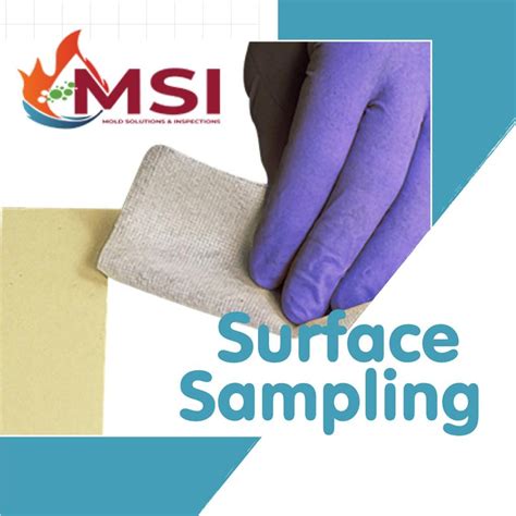 Surface Sampling Mold Solutions And Inspections Medium