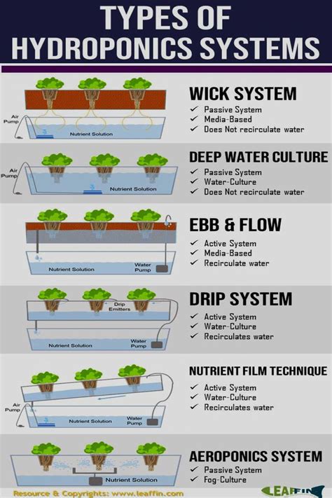 78 Incredible Designs Hydroponic Systems By Whatforme Hydroponic