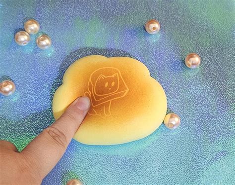 Cat Squishy Bread Etsy