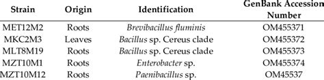 Identification Based On 16s Rdna Partial Sequences Of Strains Isolated