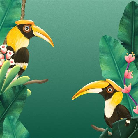 Hornbill Bird Border Background Green Premium Photo Illustration